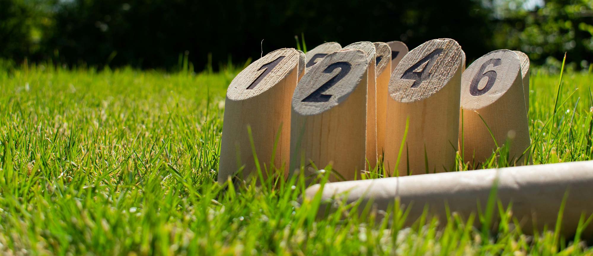 Tout savoir sur le célèbre jeu de quilles Mölkky : le guide d'achat